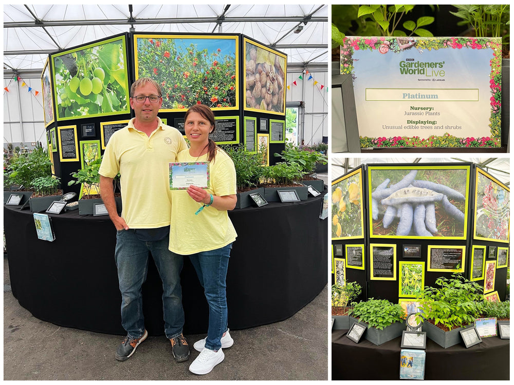 Hardy trees and shrubs, rare plants, exotic fruit trees by mail order