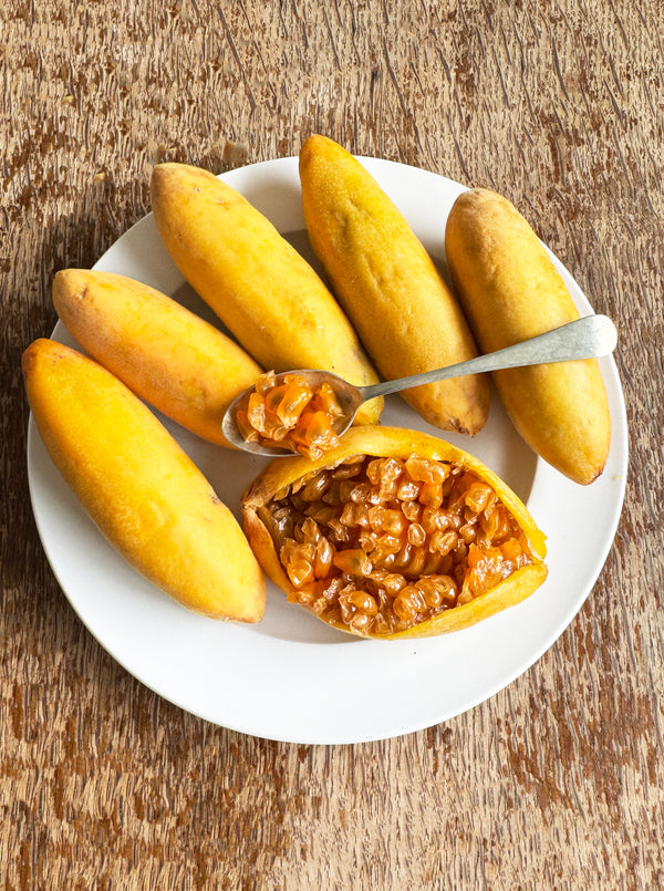 Passiflora tarminiana - Banana Passionfruit, Curuba - Jurassicplants ...